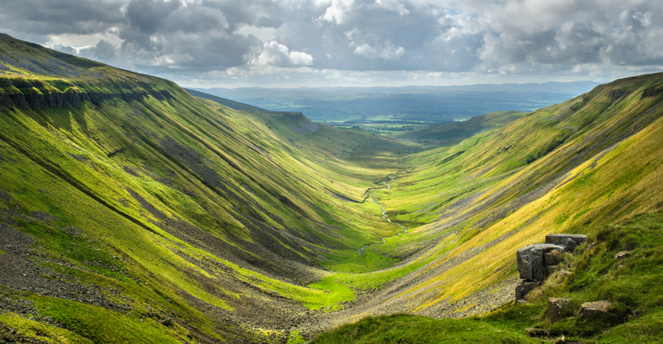 Pennine Views and Vines