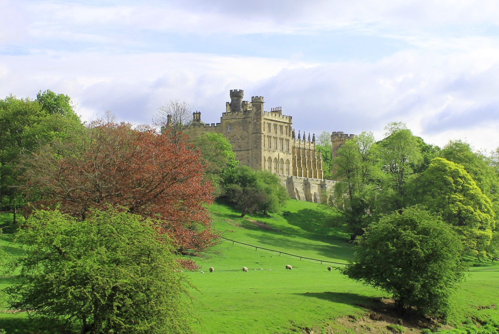Facts about the families findings and new foundations at Lambton Park