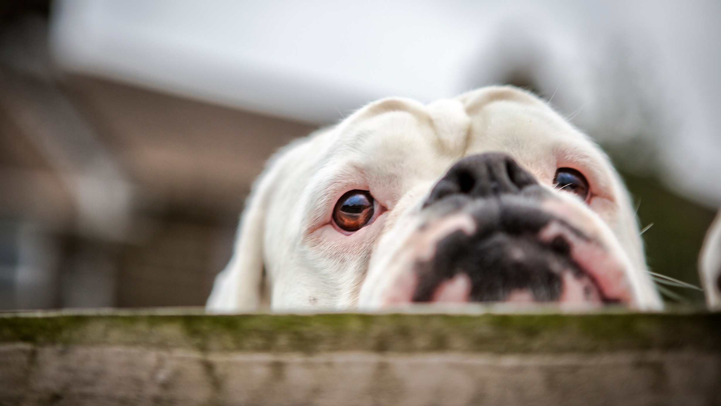 Top 5 tips to make friends with your neighbbours | Miller Homes