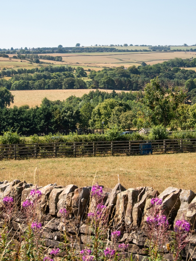 Fellside Gardens | New Build Homes | Miller Homes