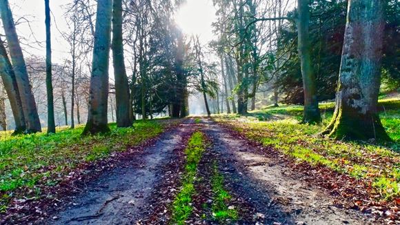 Lambton Park | Miller Homes