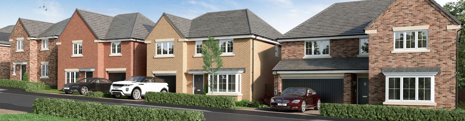 Windlestone Point | New Build Homes | Miller Homes