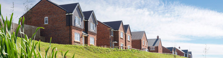 Roman Croft | New Build Homes | Miller Homes