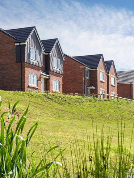 Roman Croft | New Build Homes | Miller Homes