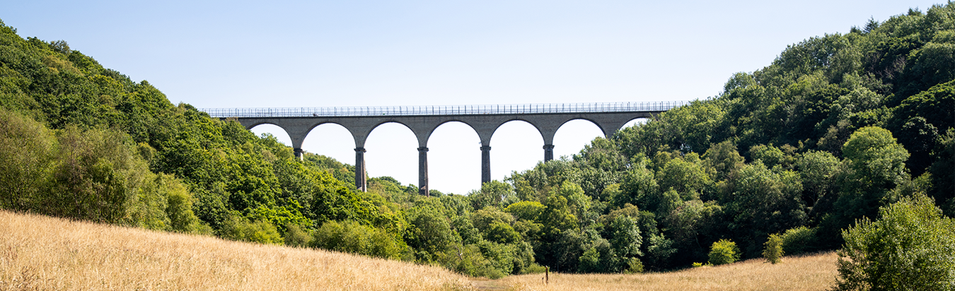 New Build Homes For Sale in Consett | Miller Homes