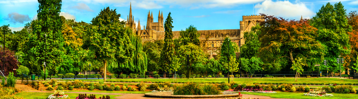 New Build Homes For Sale in Peterborough | Miller Homes